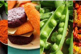 Food - rheology and extrusion compentium - Kobis